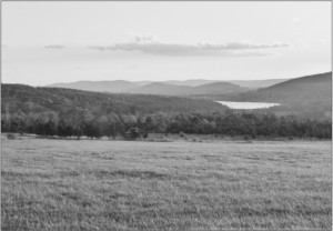 The 14th Colony: A Brief History: Part One